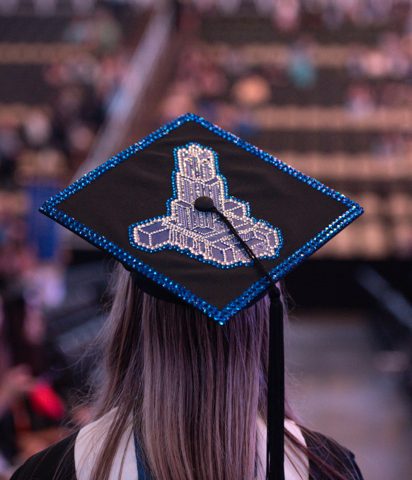 Pitt Commons - About