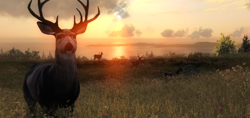 theHunter - The most realistic hunting game ever created