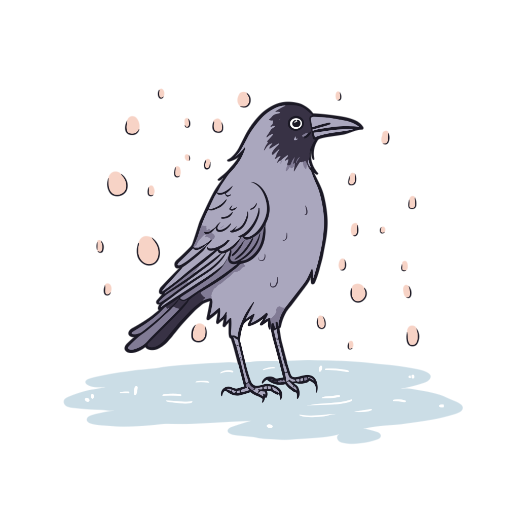 Pictographic | Crow