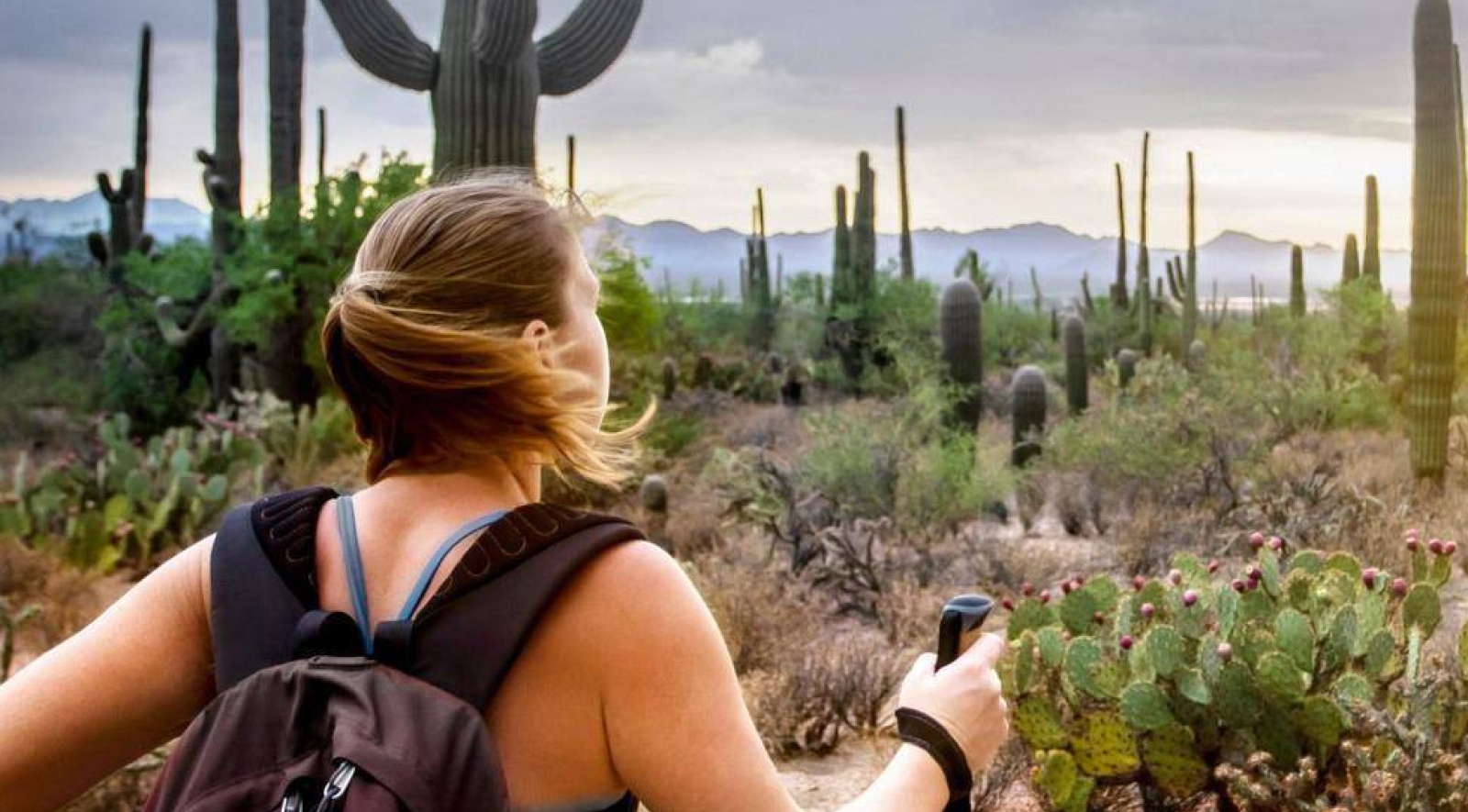 Environmental Education