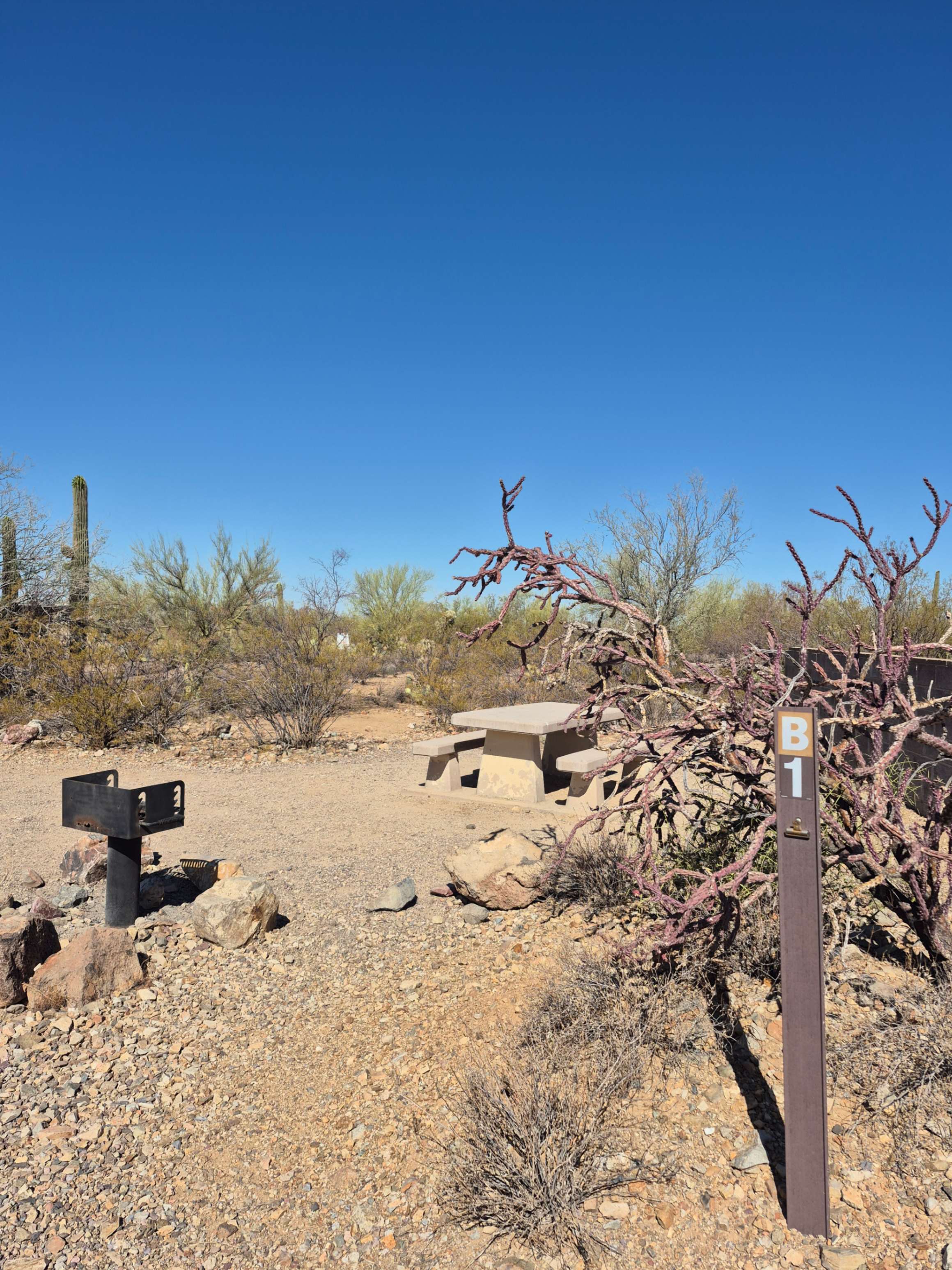 skip to main content pima county parks recreation conservation lands ...