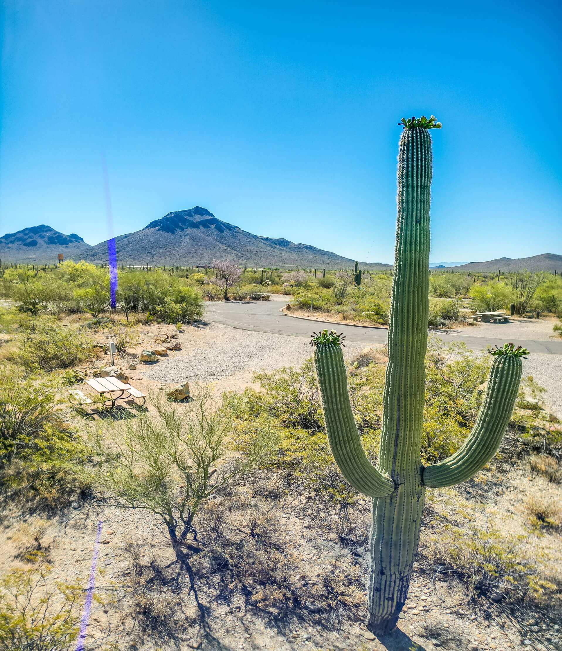 Gilbert Ray Campground - Loop A