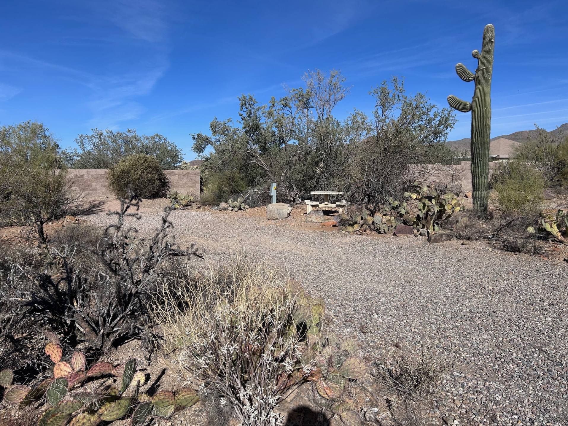 skip to main content pima county parks recreation conservation lands ...