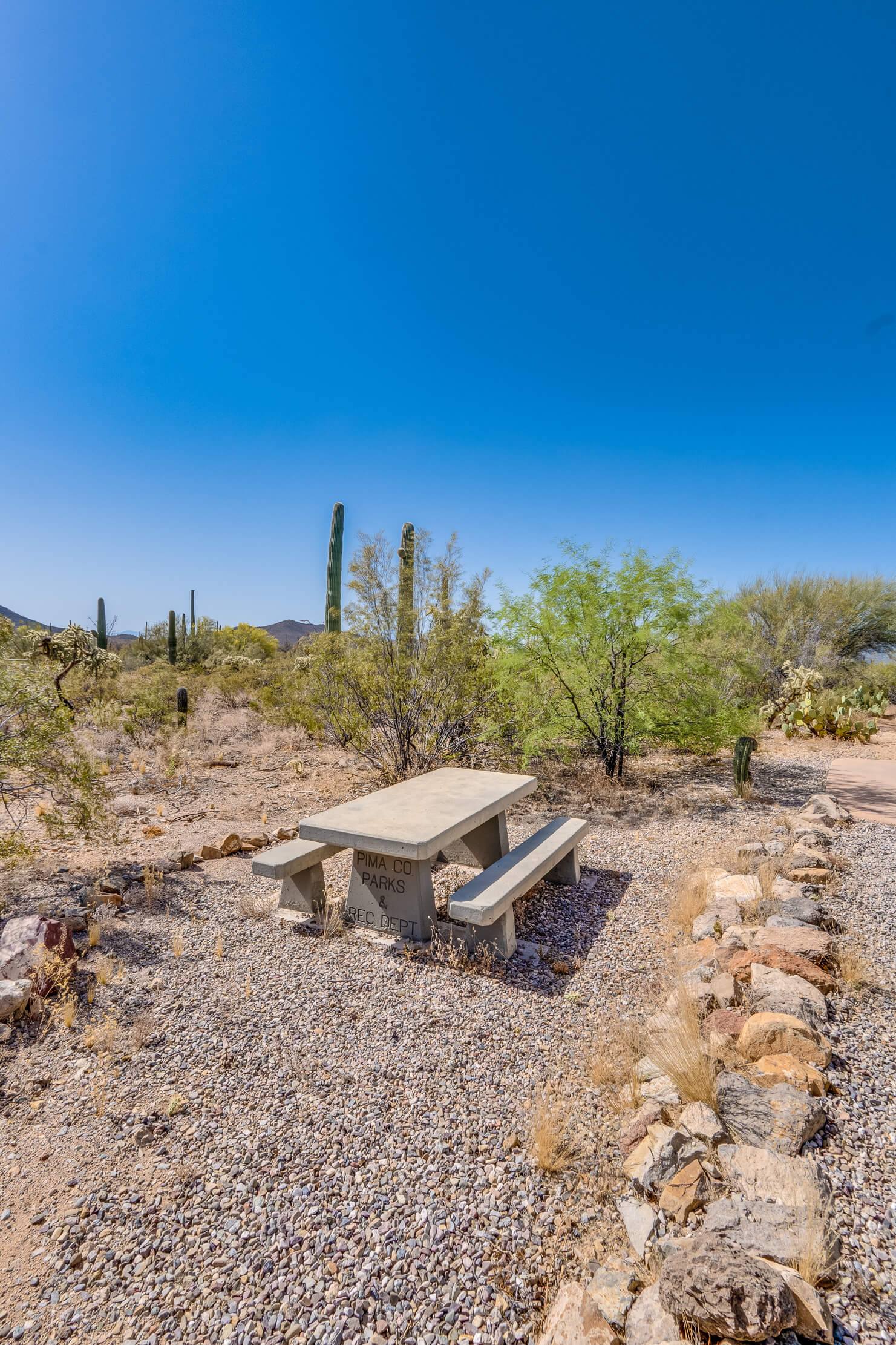 Create Account or Log In