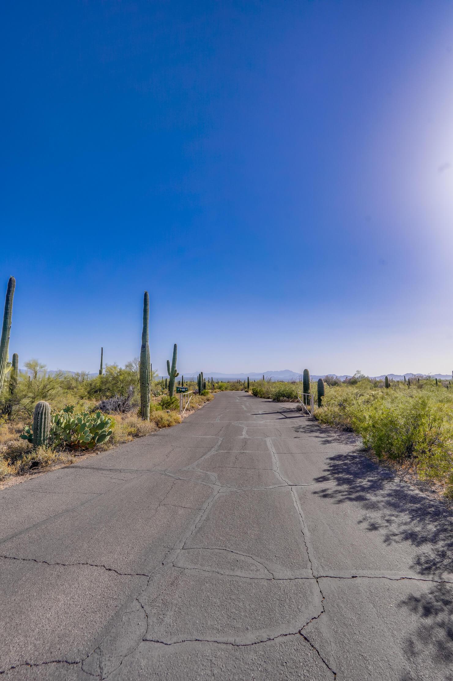 skip to main content pima county parks recreation conservation lands ...