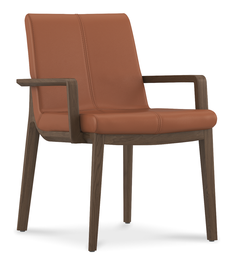 Carin Dining Chair – Leather | Full Back Cushion & Teak Frame | INDOSPACE