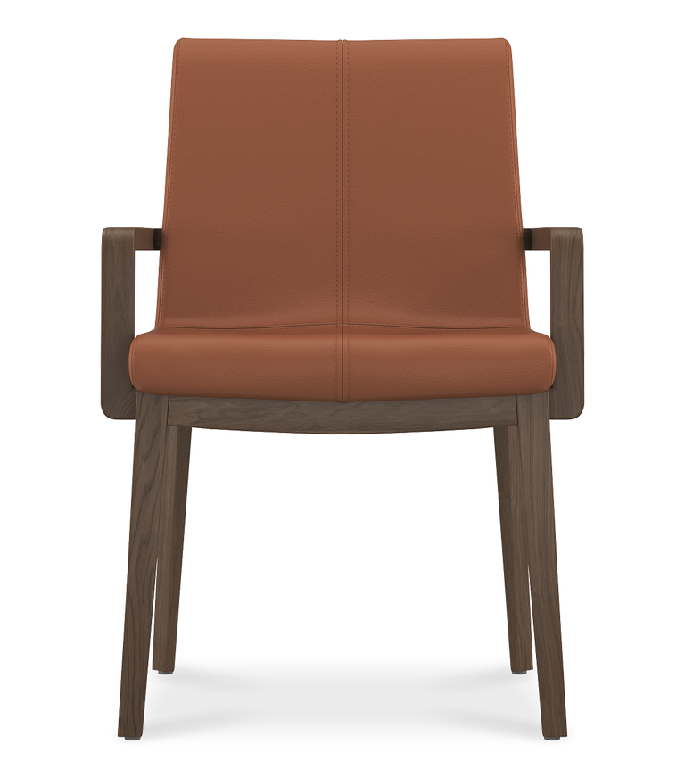 Carin Dining Chair – Leather | Full Back Cushion & Teak Frame | INDOSPACE