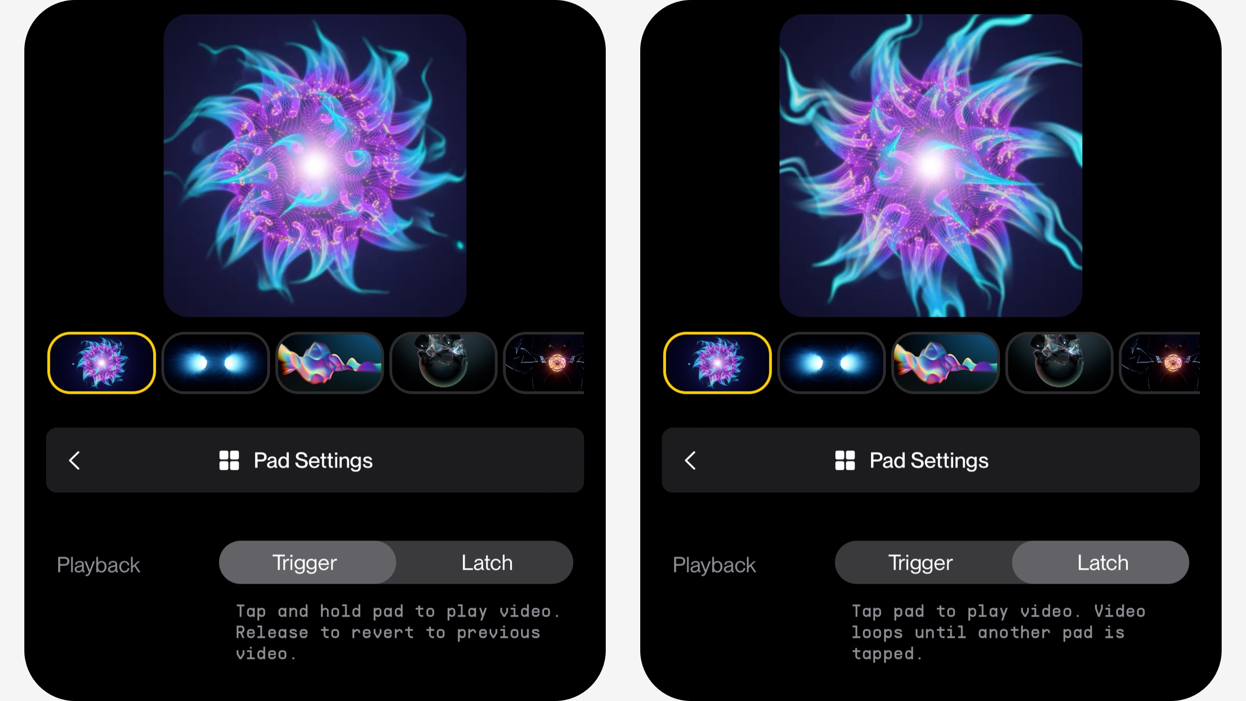The Editor - Pixite | Digital Coloring & Journal | Productivity Apps
