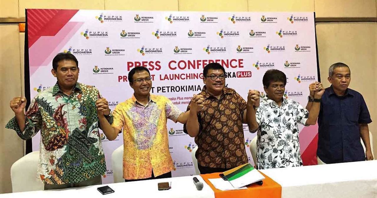 NPK Phonska Plus, Cegah Defisiensi Seng (Zn) | PT. Petrokimia Gresik NPK Phonska Plus, Cegah Defisiensi Seng (Zn) | PT. Petrokimia Gresik