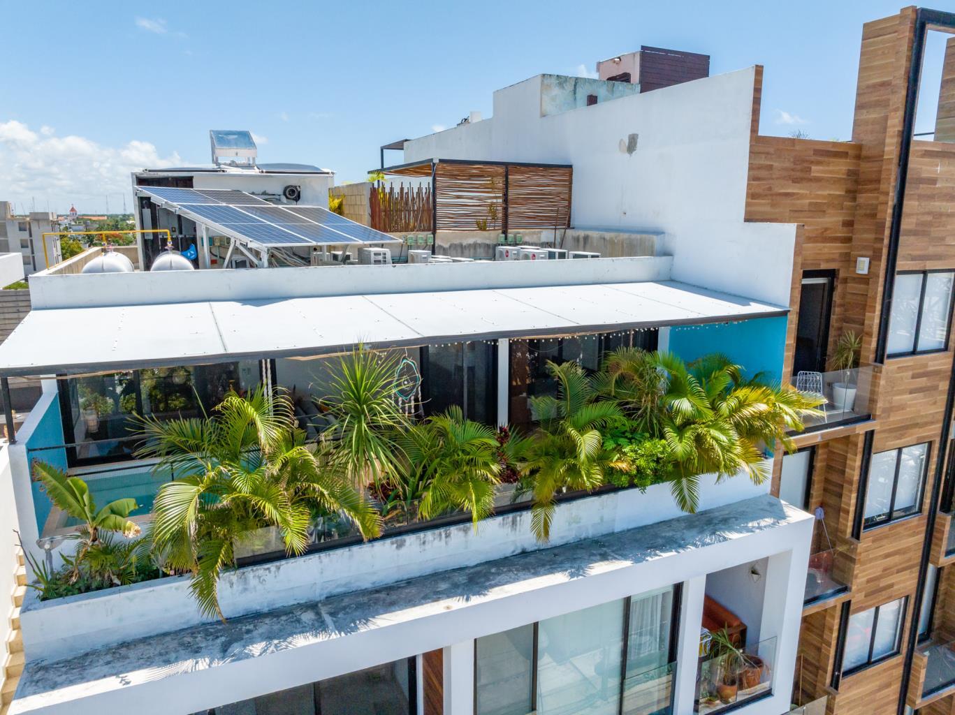 Unique condo with private pool, 2 bedroom, 2 level lock-off in Playa ...