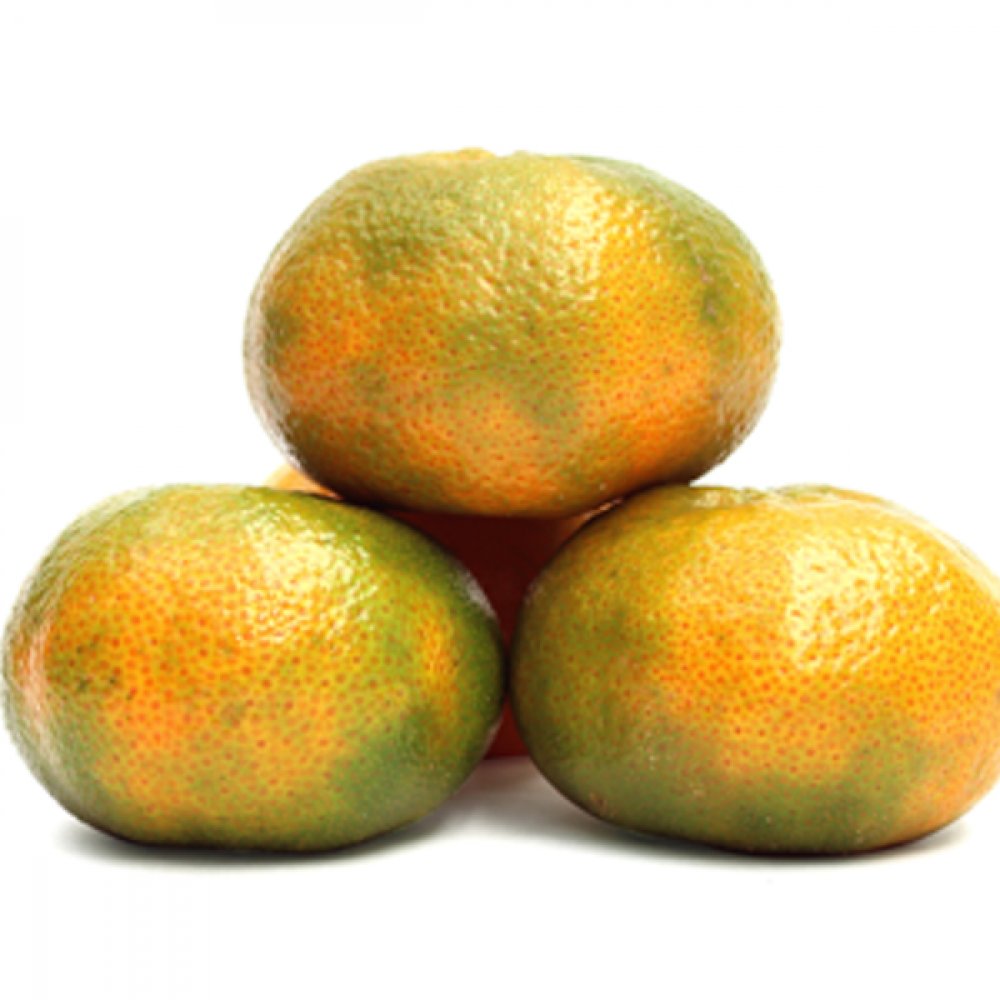 Precio de la Mandarina Arrayana hoy en Corabastos - Colprecios