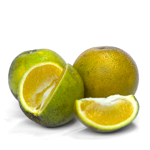 Precio de la Naranja Valencia hoy en Corabastos - Colprecios