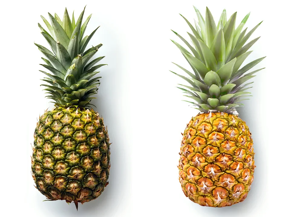 Precio de la Piña Gold hoy en Corabastos - Colprecios