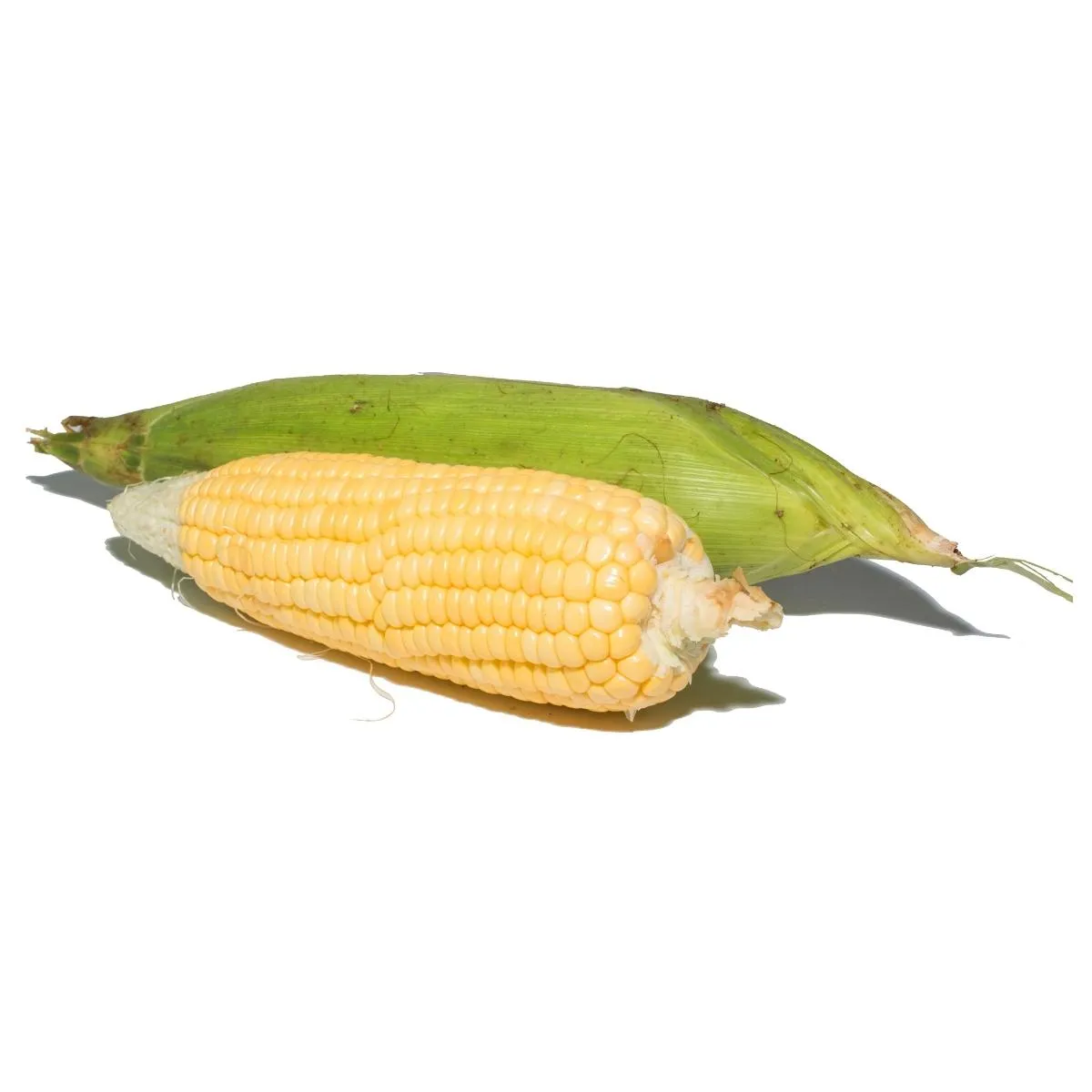 American Sweet Corn-2 Pc