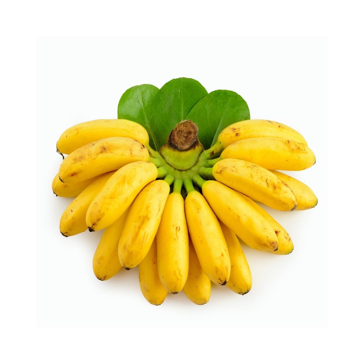 Yelakki Banana Benefits In Kannada at Declan Newling blog