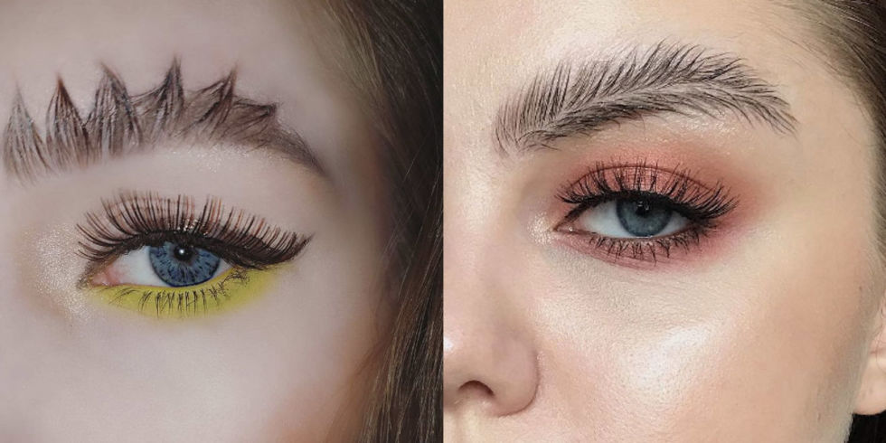 Dragon Eyebrow Trend | Plugon