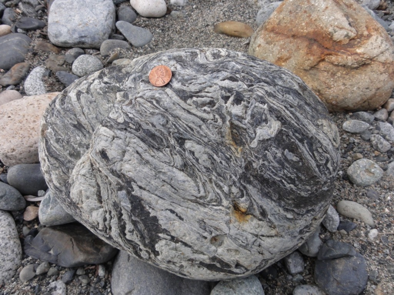 Migmatite rock- A mixture of metamorphic and igneous rock | Plugon