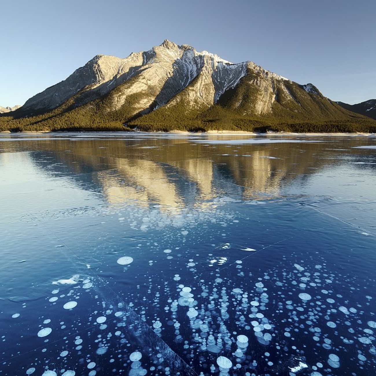 Abraham Lake, Canada | Plugon