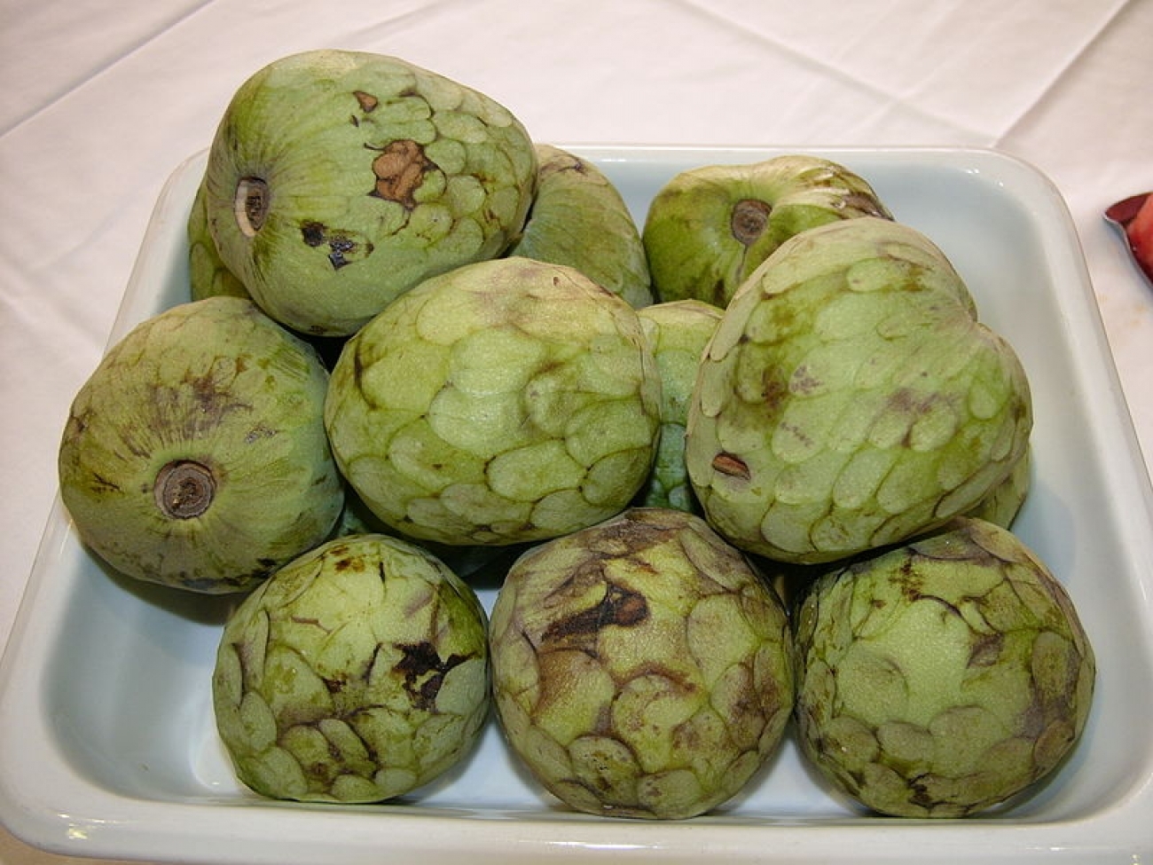 Cherimoya fruit | Plugon