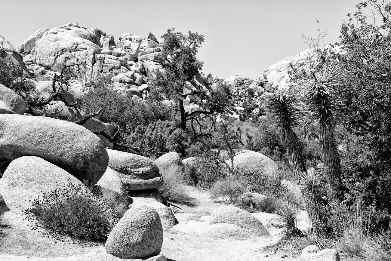 Black Nevada - Between two Rocks | Posters, Impressions artistiques ...