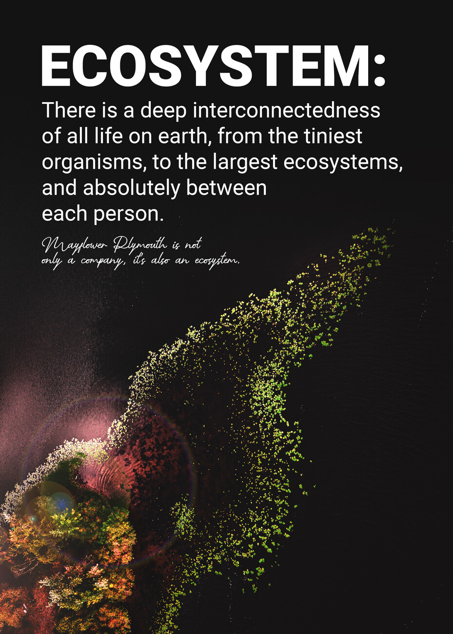 Illustration artistiques | Ecosystem Organism On Earth Quote | Europosters