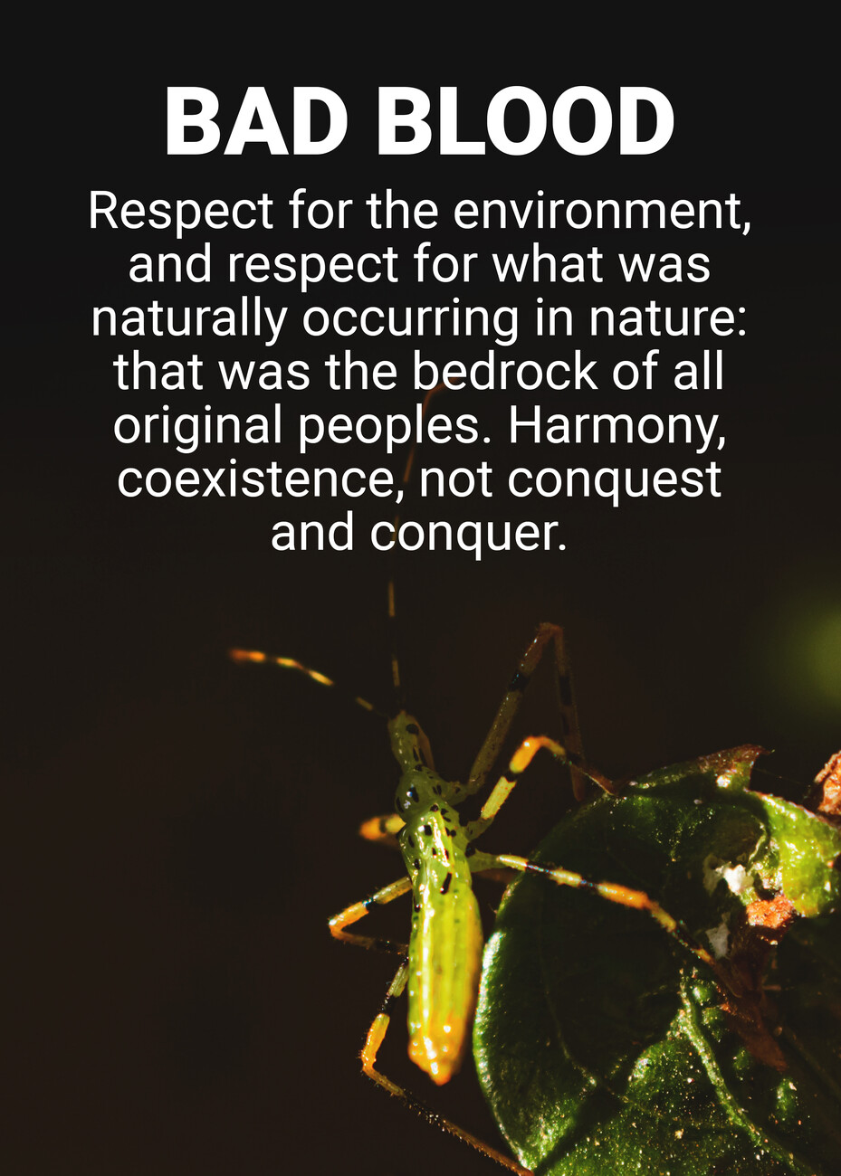 Nature Insects Quotes Discover 130+ Inspiring Dragonfly Quotes And