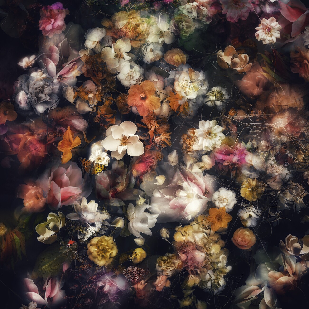 Flower Of Life Art Tumblr