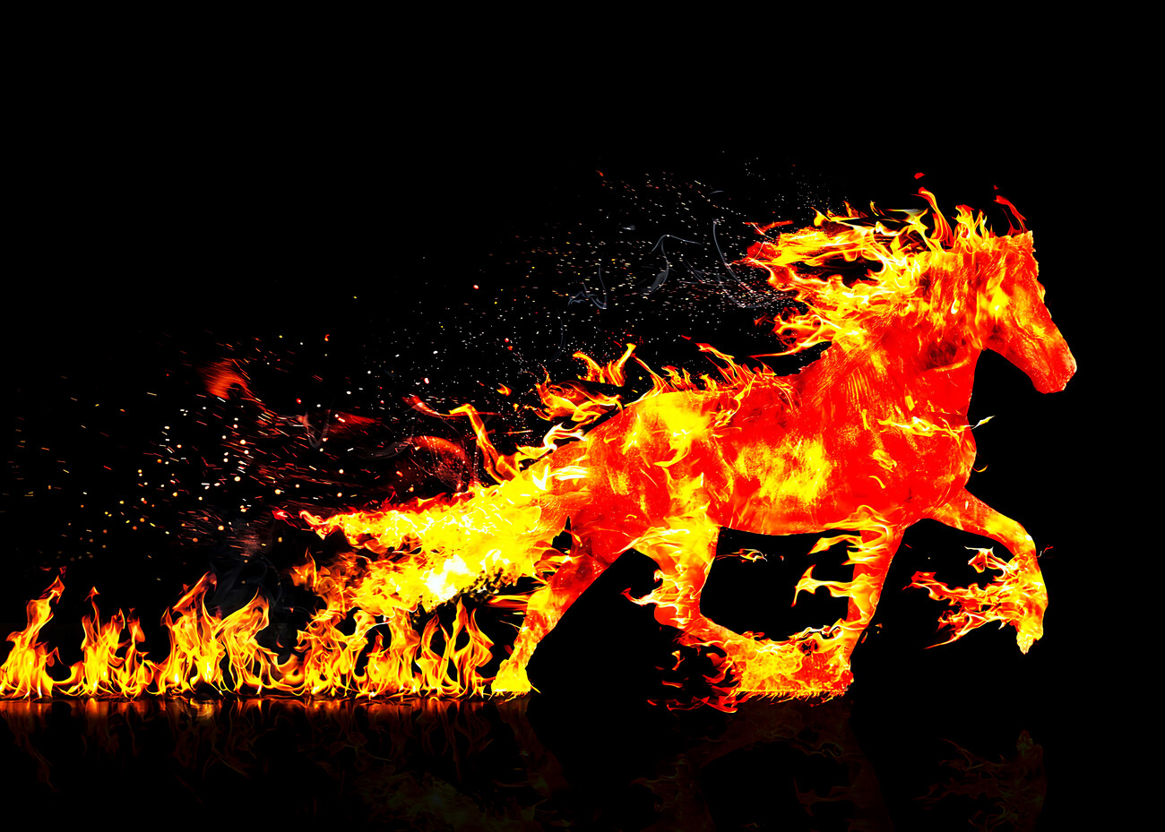 Fire Horse Wallpaper