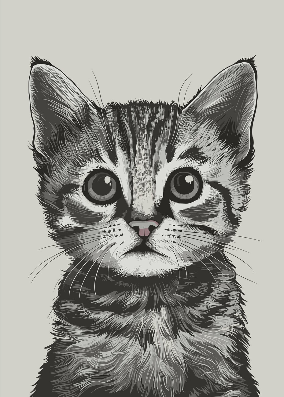Pencil Drawings Of Kittens