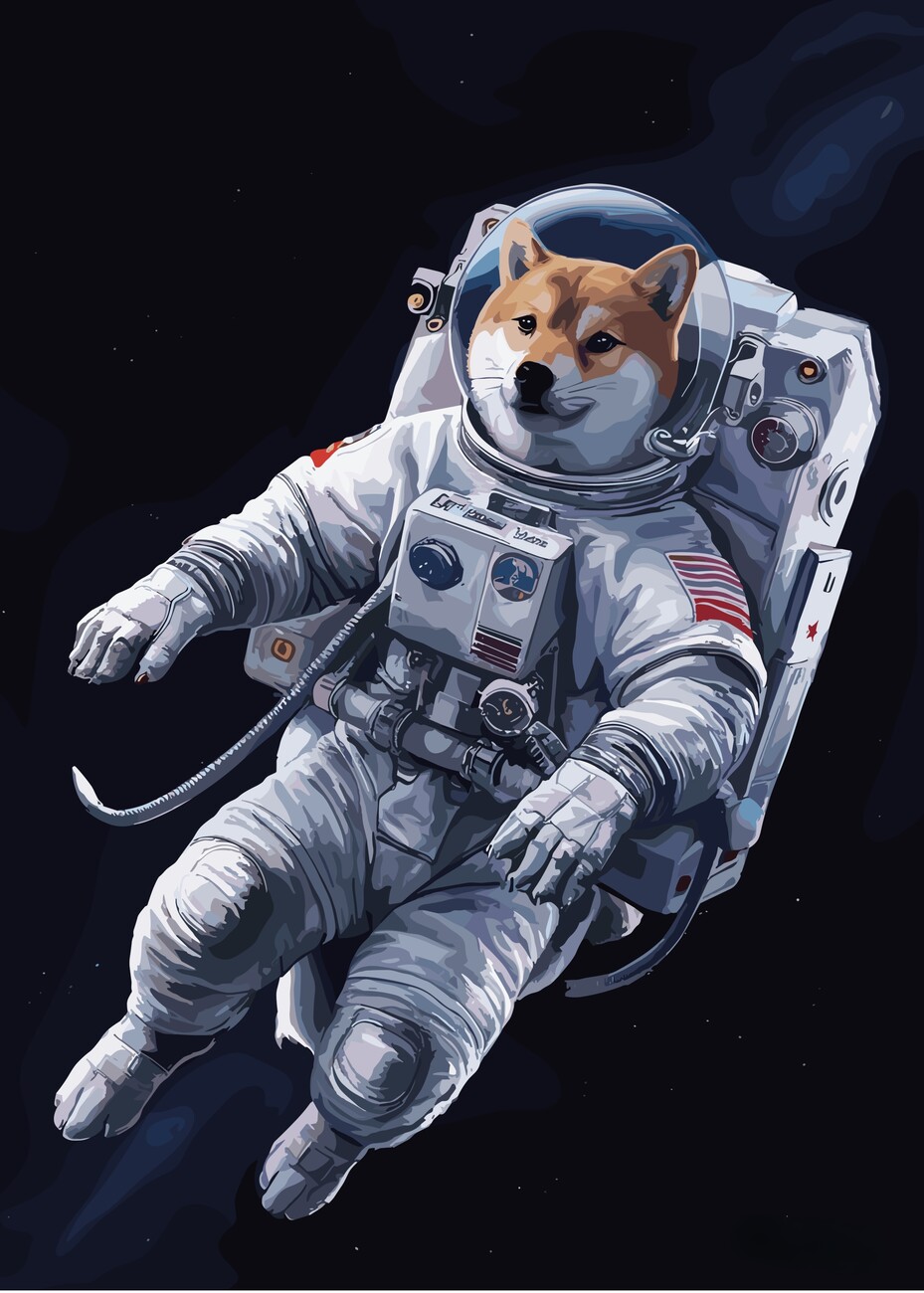 Pintura De Astronauta Doge