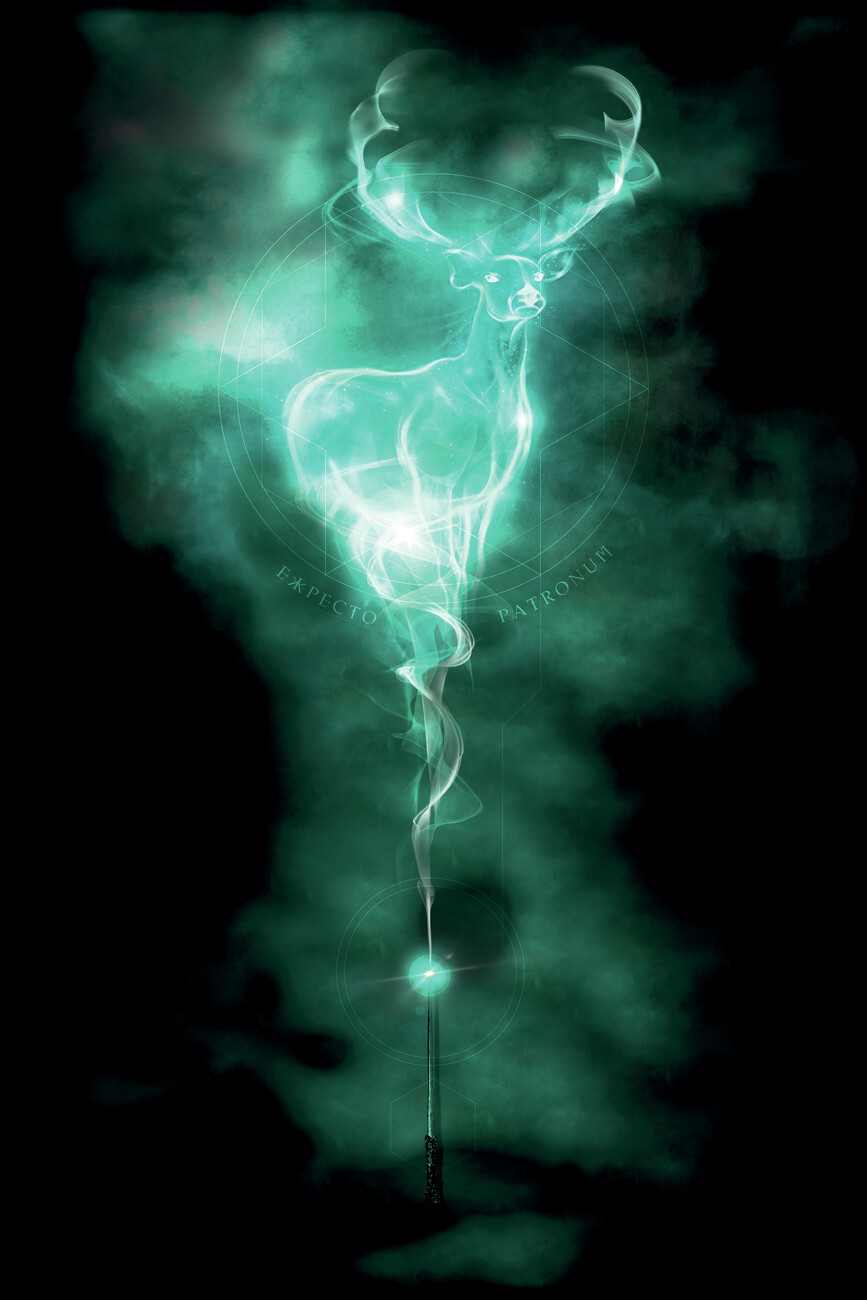 Harry Potter Patronus #patronus #harrypotter ️ Harry Potter