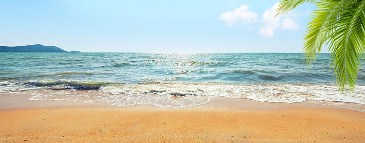 Köp Panorama poster & Affischer på EuroPosters.se