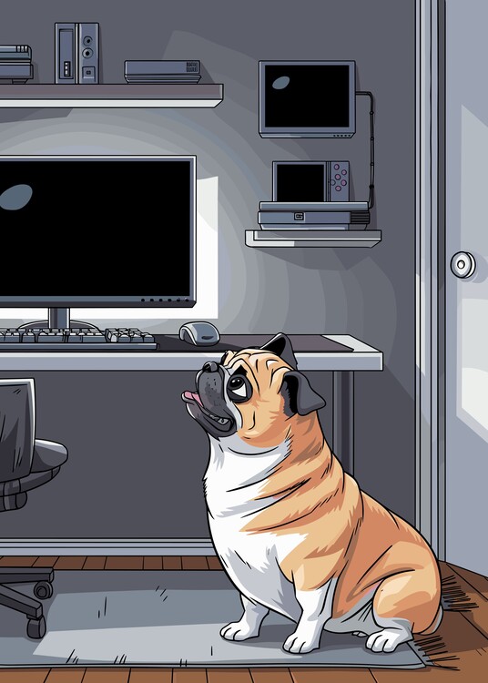 Pugs Shirts Dog Mom Has 3 Lives Public Private Secret With Pug Women