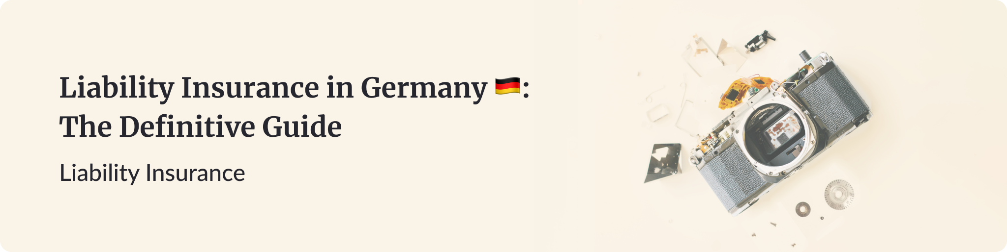 Liability Insurance in Germany: The Definitive Guide (2025) | Feather Blog