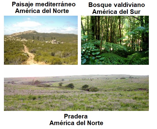 Climas Y Vegetación Del Continente Americano Ríos Y Lagos