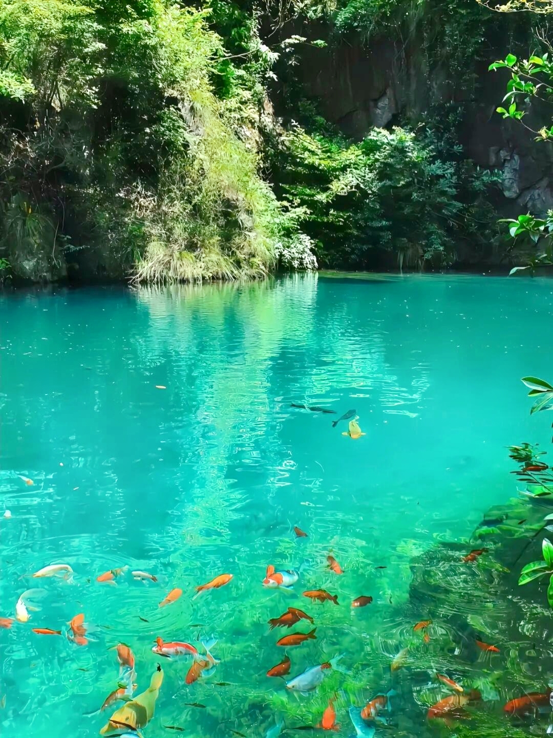 To Go's Pow: 📍Current Situation in Jiuzhaigou on 3.26!! It's Like ...