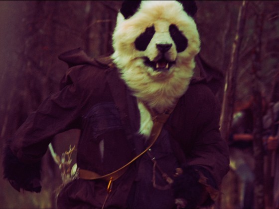 Wastelander Panda by Epic Films - Pozible