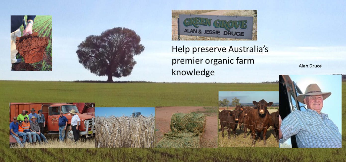 Preserve the legacy of Green Grove by The Better Food Project - Pozible