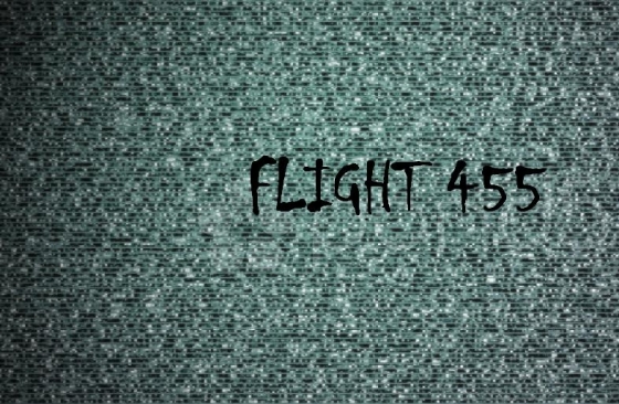 Flight 455 by Heath Novkovic - Pozible
