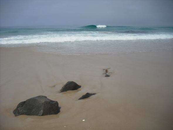 Ange Boxall album: 'INTO THE WIND' by Ange Boxall - Pozible