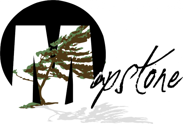 Mapstone takes the next step! by Christopher Mapstone - Pozible