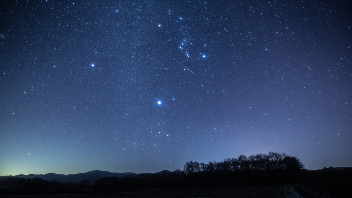 【2024年最新】東京でふたご座流星群が見れる場所はどこ？ – skyticket 観光ガイド