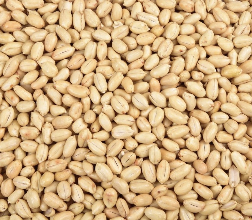 Best deals for Agraj Peanuts 500 GM in Nepal - Pricemandu!