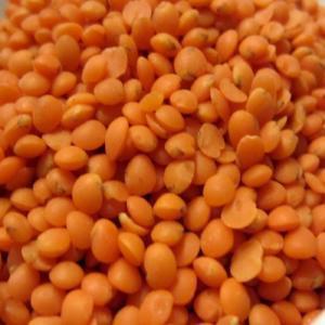 Best deals for Musuro Dal (मुसुरो ठुलो दाना) - 1 KG in Nepal - Pricemandu!