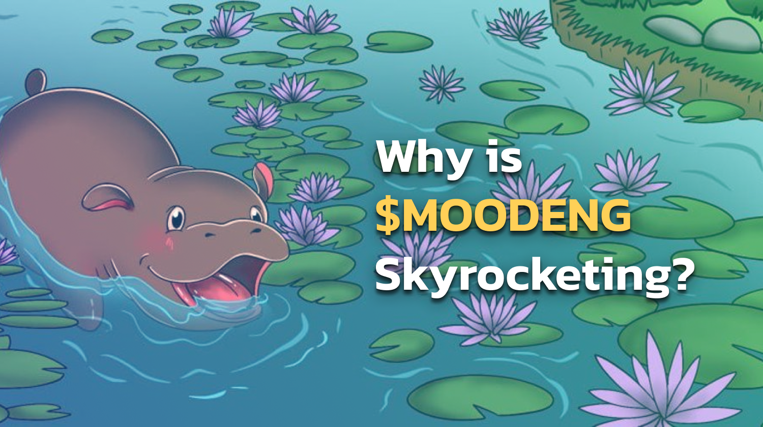 MOODENG Coin up 320% in the Last 2 Days. What are the Key Drivers ...