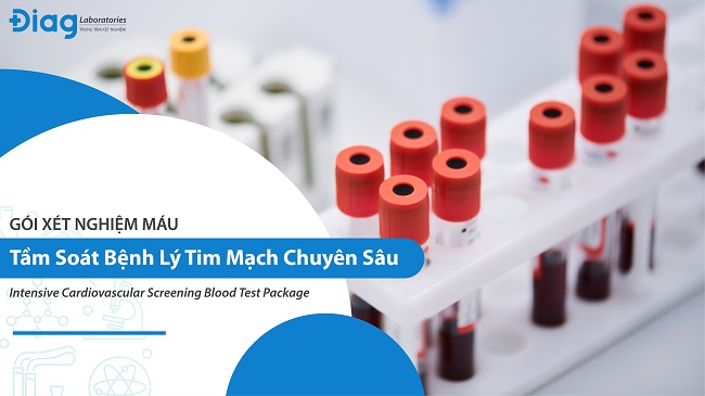 Overview of the Intensive Cardiovascular Screening Blood Test Package