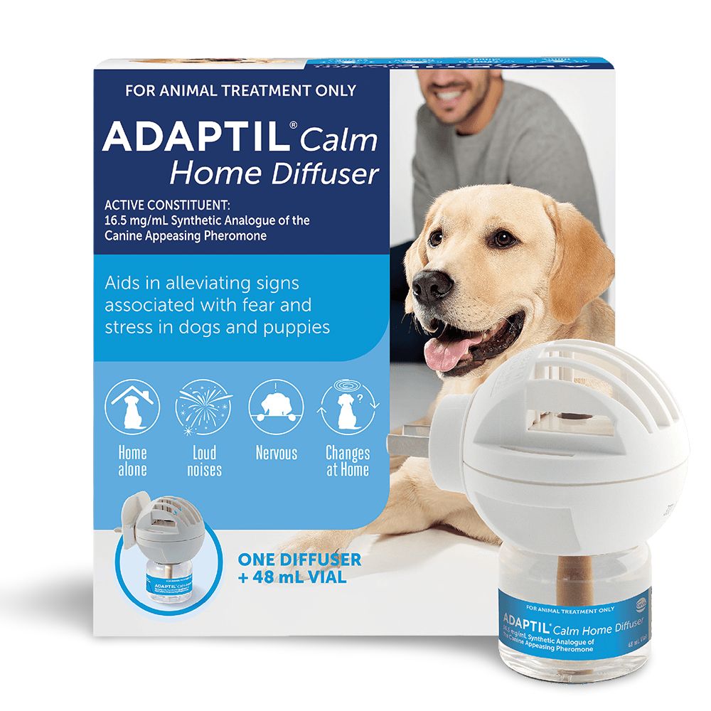 Adaptil Calming Diffuser Set | Top dogs on price | Pet Circle