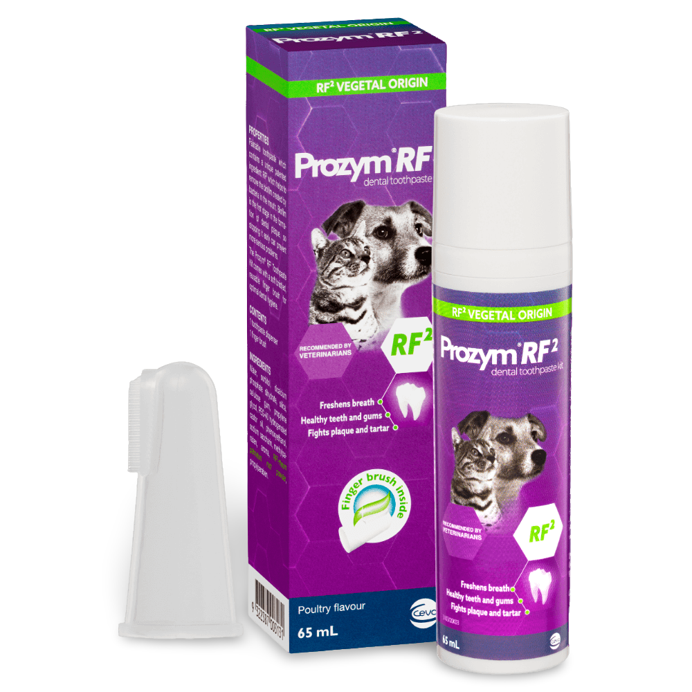 Prozym Rf2 Toothpaste Kit | Top dogs on price | Pet Circle