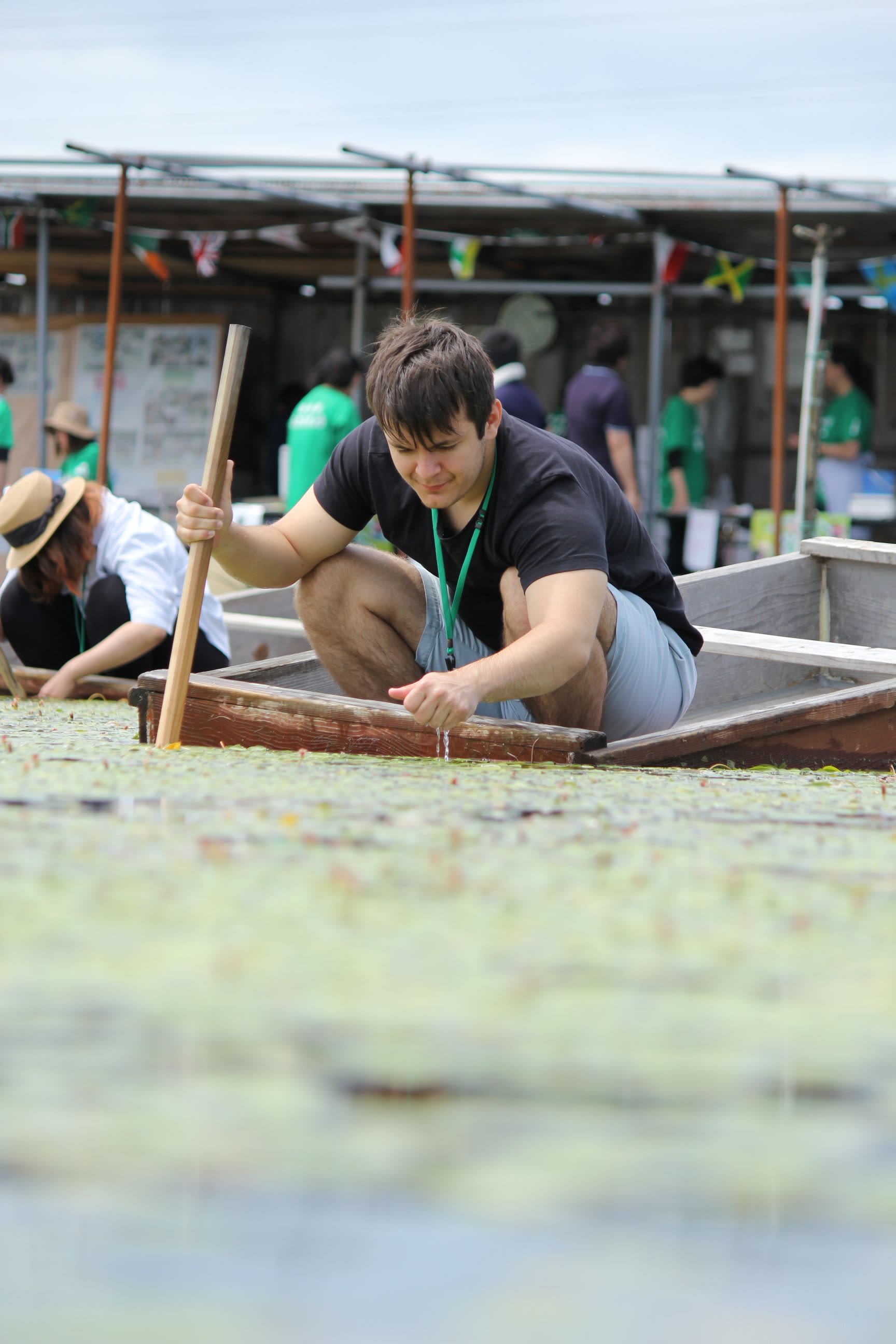 [아키타] Pick and Eat the Aquatic Plant 'Junsai' in Shirakami, Akita ...