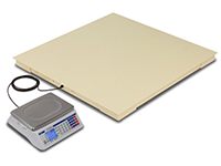 Scale Sales and Rental in El Paso, Texas | IWCS Scale